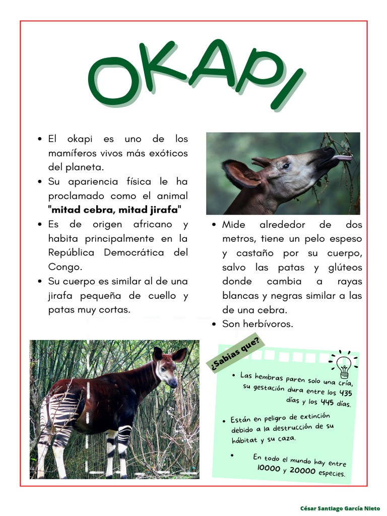 OKAPI | PDF