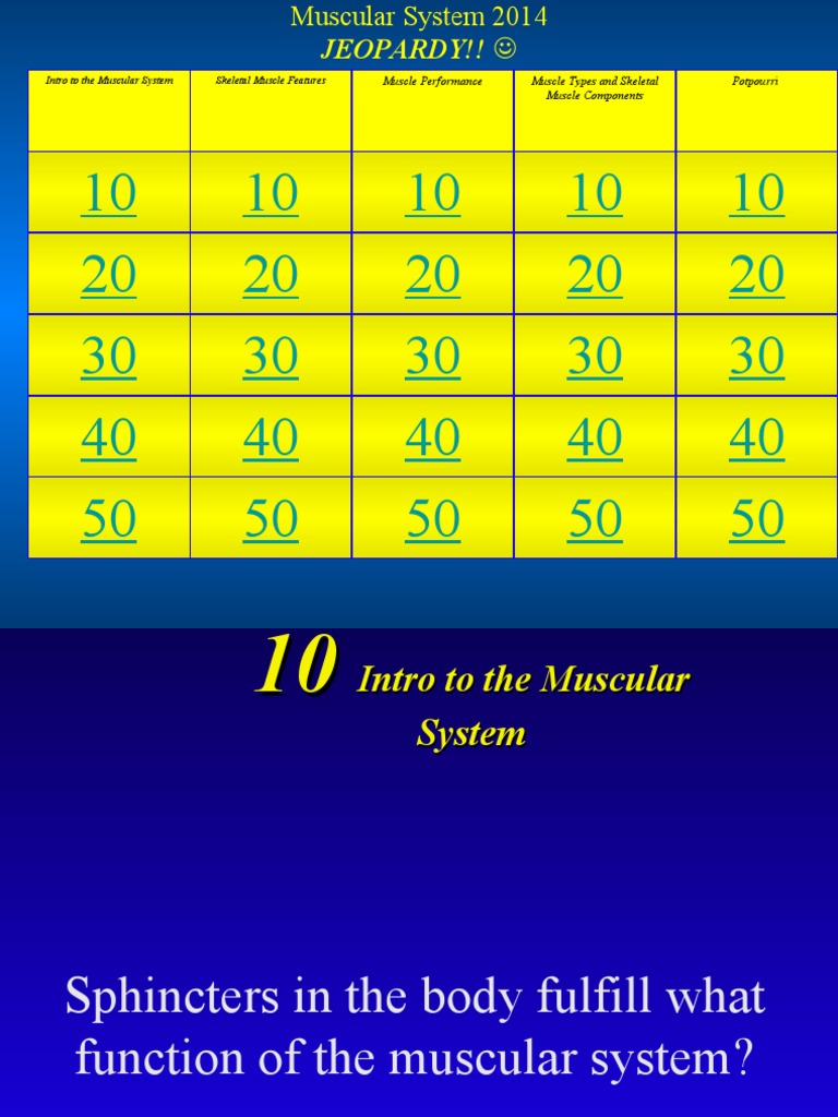 Muscular System Jeopardy | PDF | Skeletal Muscle | Musculoskeletal System
