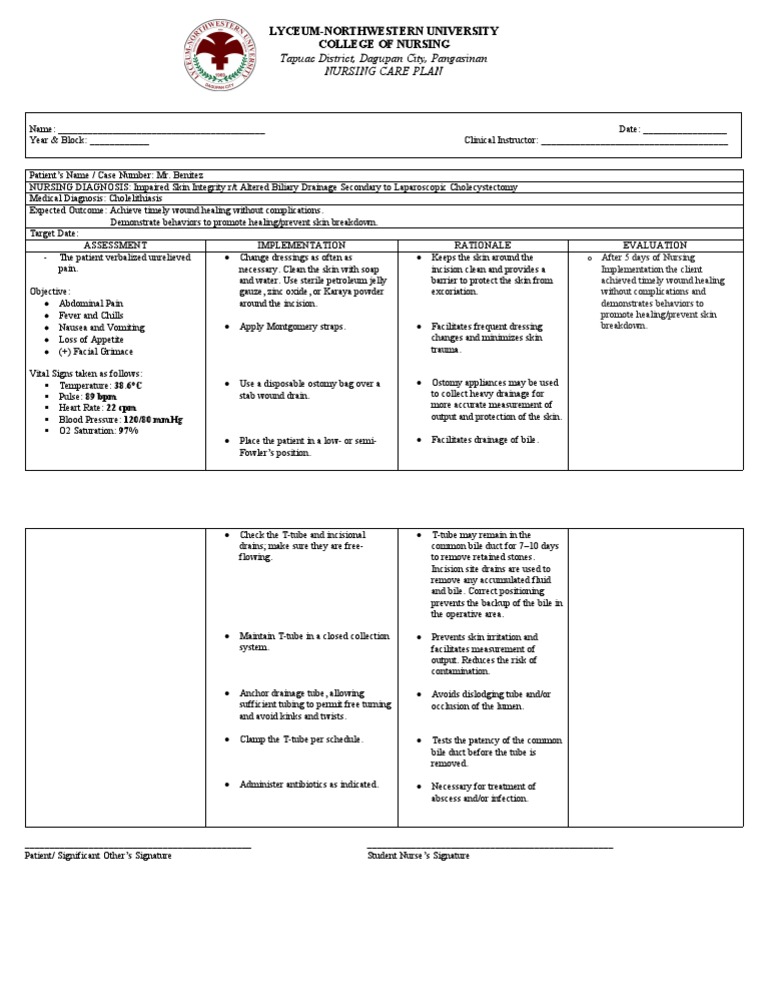 Nursing Care Plan for Skin Integrity | PDF | Wound | Health Sciences