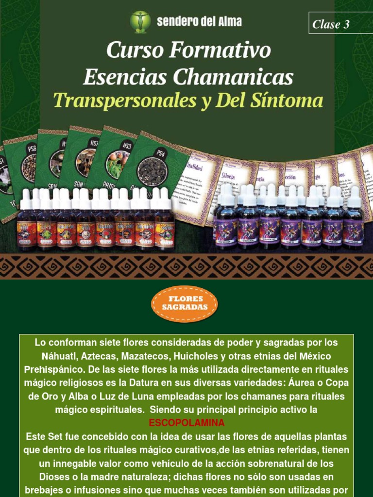 CHAMÁNICAS Clase 3 6 SEPTpt | PDF