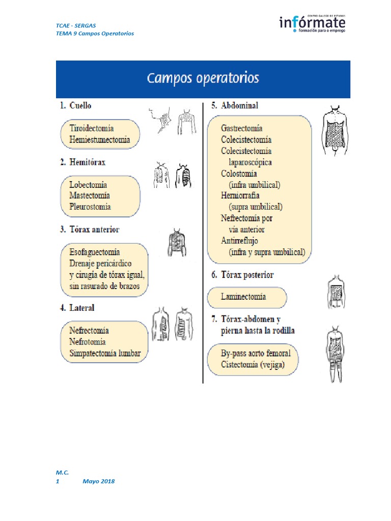 Campos Operatorios | PDF | Negocios