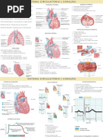ECG - Eixo Eletrico Cardiaco 01 | PDF | Eletrocardiografia | Coração