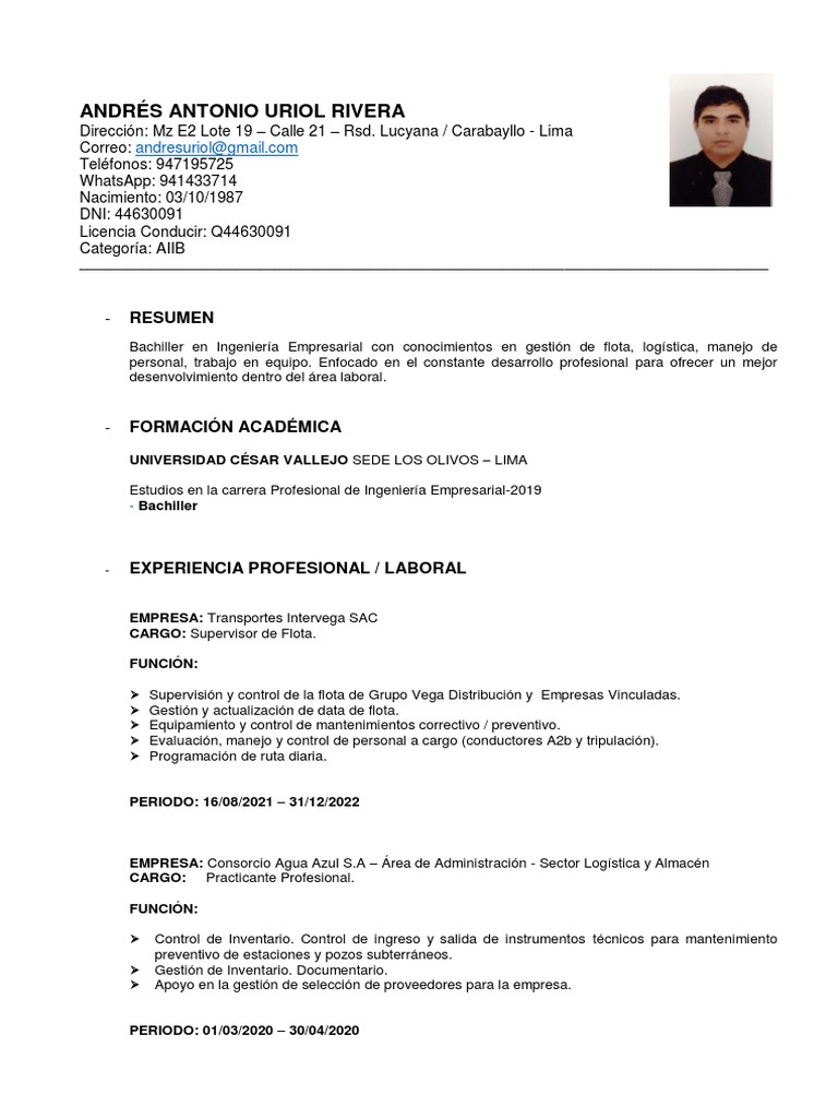 Curriculum Vitae | Descargar gratis PDF | Informática | Logística