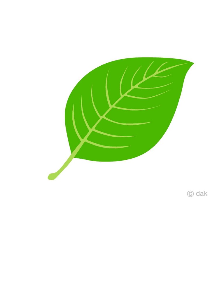 Leaf | PDF
