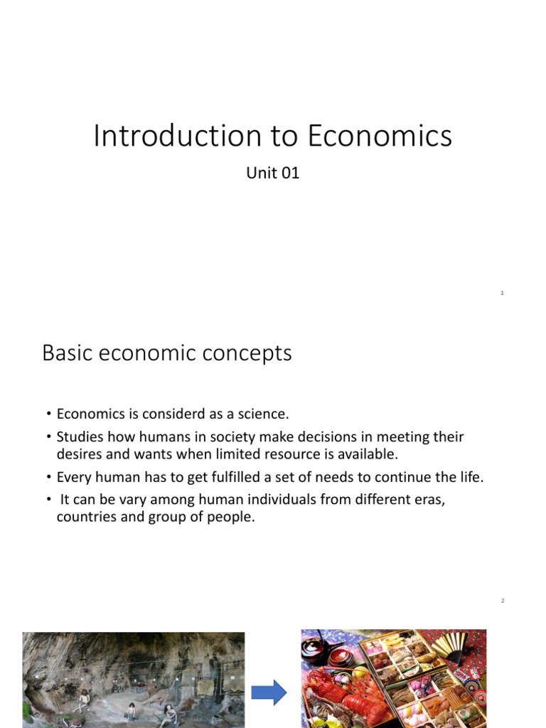 Introduction To Economics | PDF