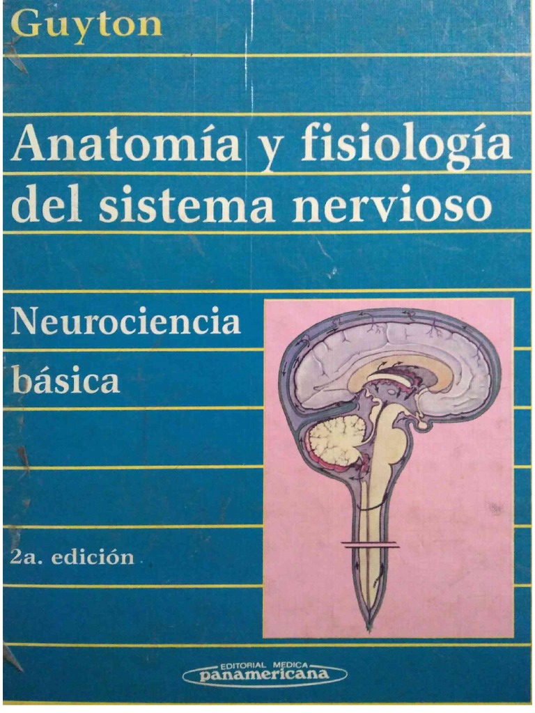 Guyton. Anatomía y Fisiología Del Sistema Nervioso | PDF