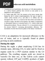 P-EDMS - ProjectList & Status 2 | PDF