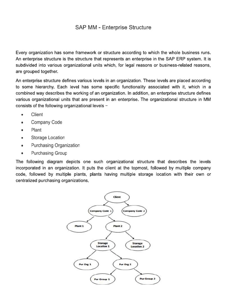 02 SAP MM - Enterprise Structure | PDF