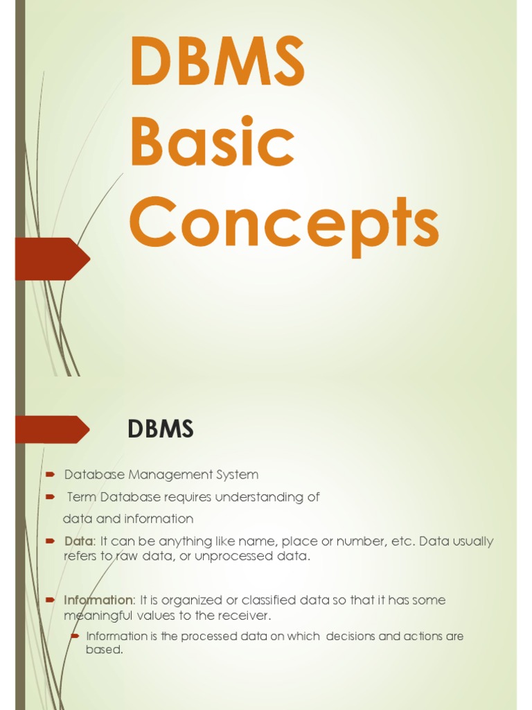 Int 306 | PDF | Databases | Conceptual Model
