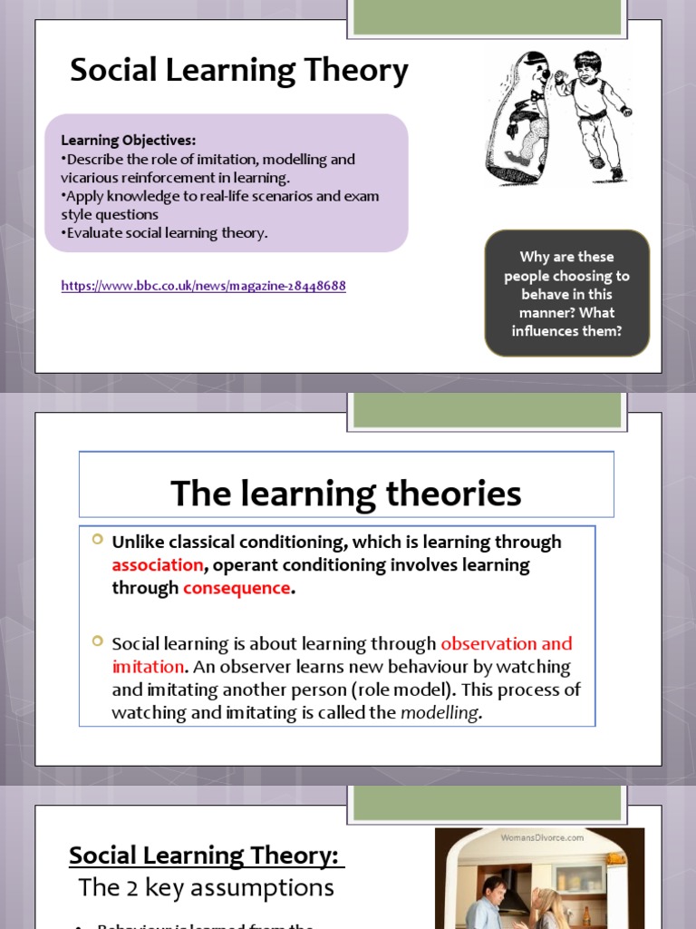 Social Learning Theory | Download Free PDF | Imitation | Behavioural ...