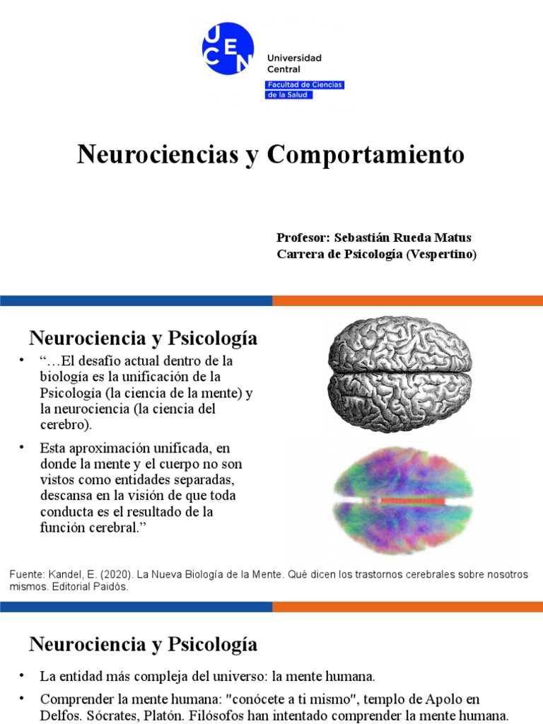 Neurociencia y Comportamiento Humano | PDF | Neurona | Axon