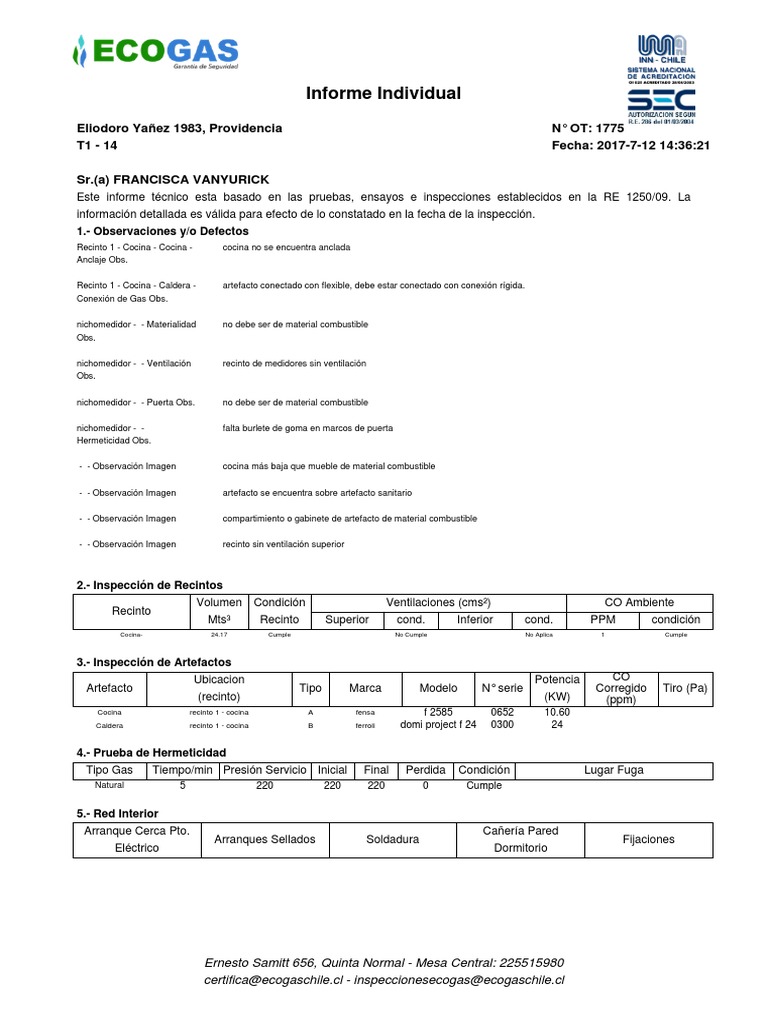 ECOGAS Informe Individual | PDF | Estufa de cocina | Construcción