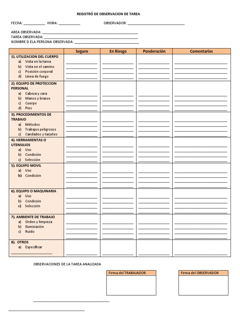 Registró de Observacion de Tarea | PDF