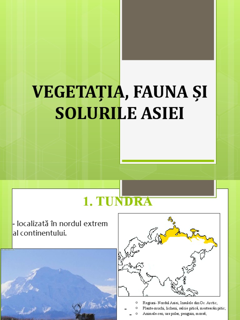 5vegetatia Si Fauna Asiei Nxpowerlite | PDF