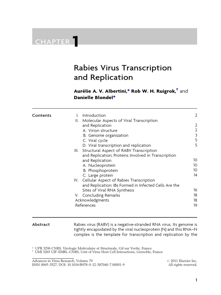 Chapter 1 - Rabies Virus Transcription and Replication | PDF | Virus ...