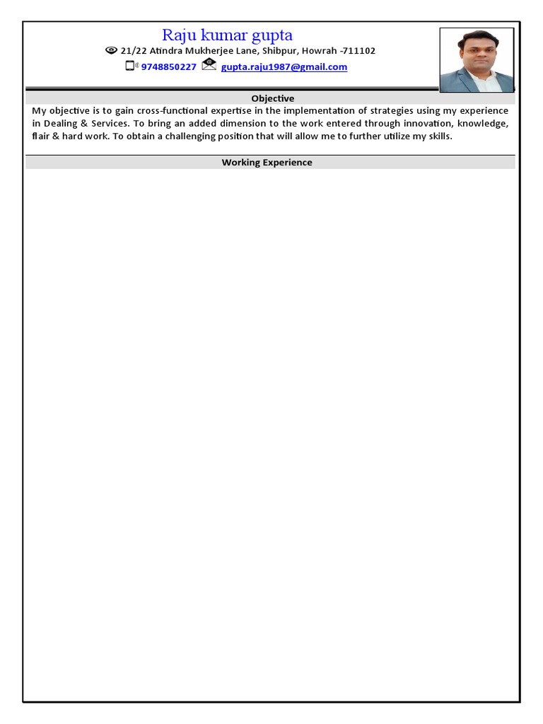 Raju Gupta Resume | PDF | Computing | Business