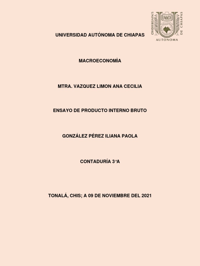 Ensayo Del Producto Interno Bruto | PDF | Producto Interno Bruto | Macroeconómica
