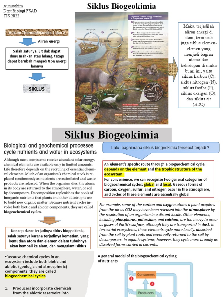 Siklus Biogeokimia Retensi Nutrien Download Free Pdf Ecosystem