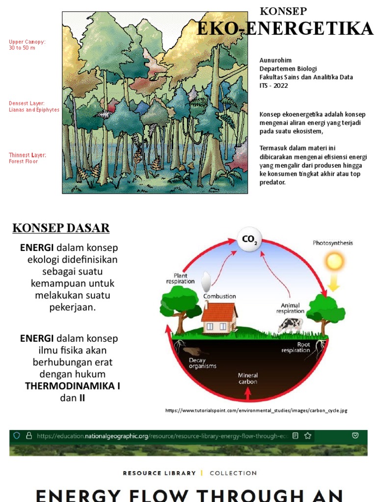Konsep Aliran Energi | PDF