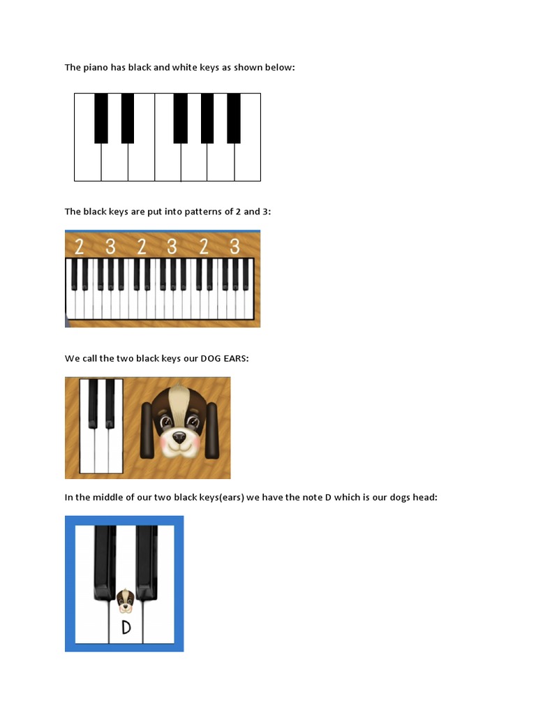 An Introduction to the Piano: Learning the Notes, Finger Positions, and ...