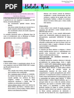 11 - Região Poplítea | PDF | Joelho | Anatomia humana