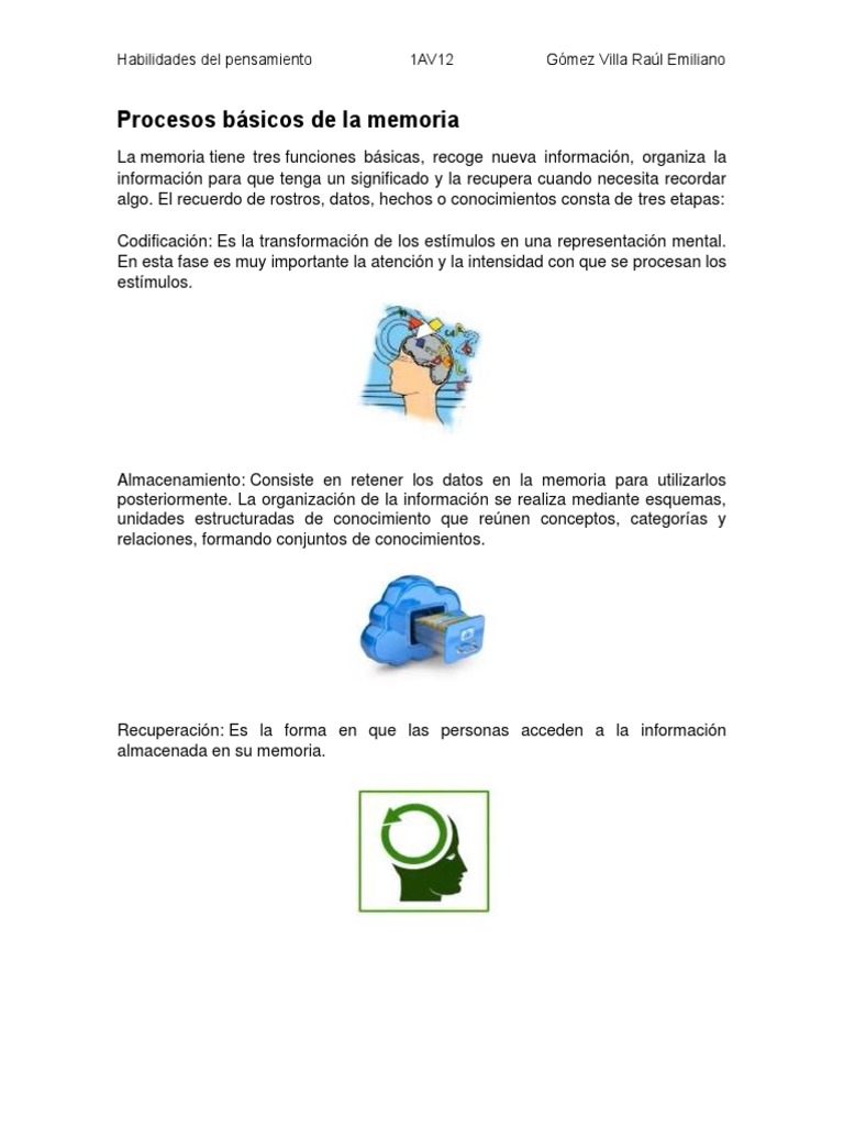 Procesos De La Memoria Pdf