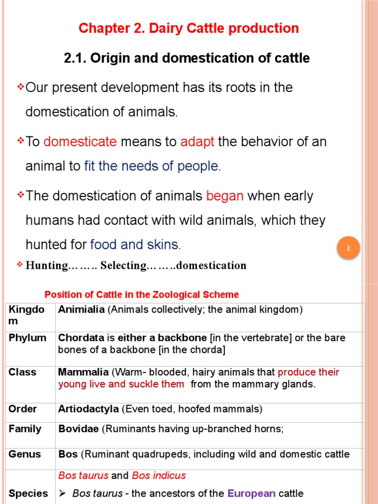 Animal Production Chapter2 | PDF | Dairy Cattle | Agriculture