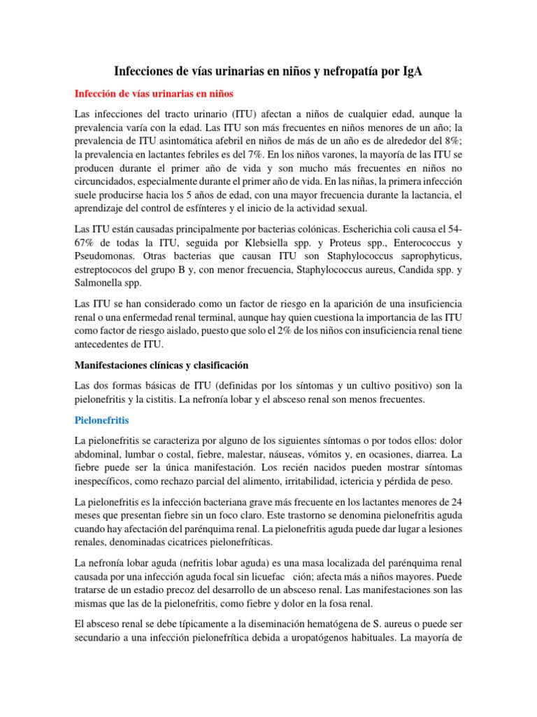 Infecciones de Vías Urinarias en Niños y Nefropatía Por IgA | PDF