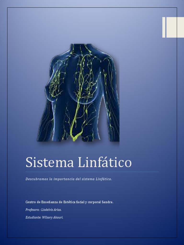 Sistema Linfático | PDF | Sistema linfático | Linfa