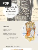 Irrigación e Inervación Del Hígado | PDF
