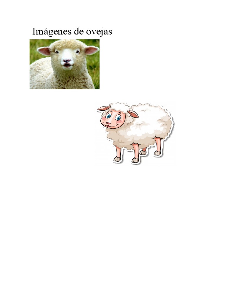 Imágenes de Ovejas | PDF