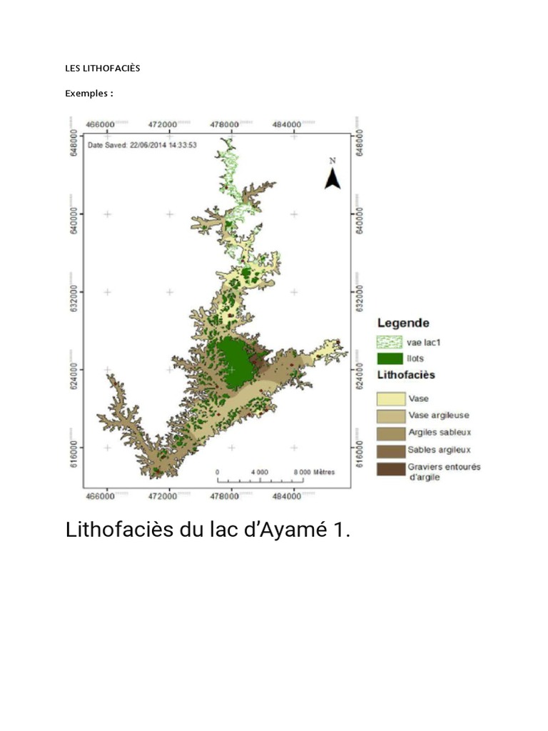 Types de lithofaciès et biofaciès | PDF