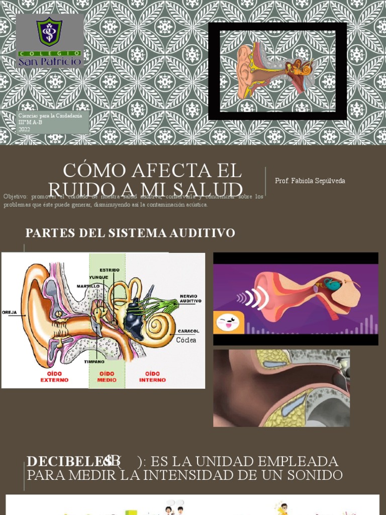 Cómo AFEcta El Ruido A Mi Salud - Cs para Ciudadania - 18-10-2022 ...
