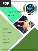 Anillo de Contusión y de Enjugamiento | PDF | Mecanica clasica | Cambio