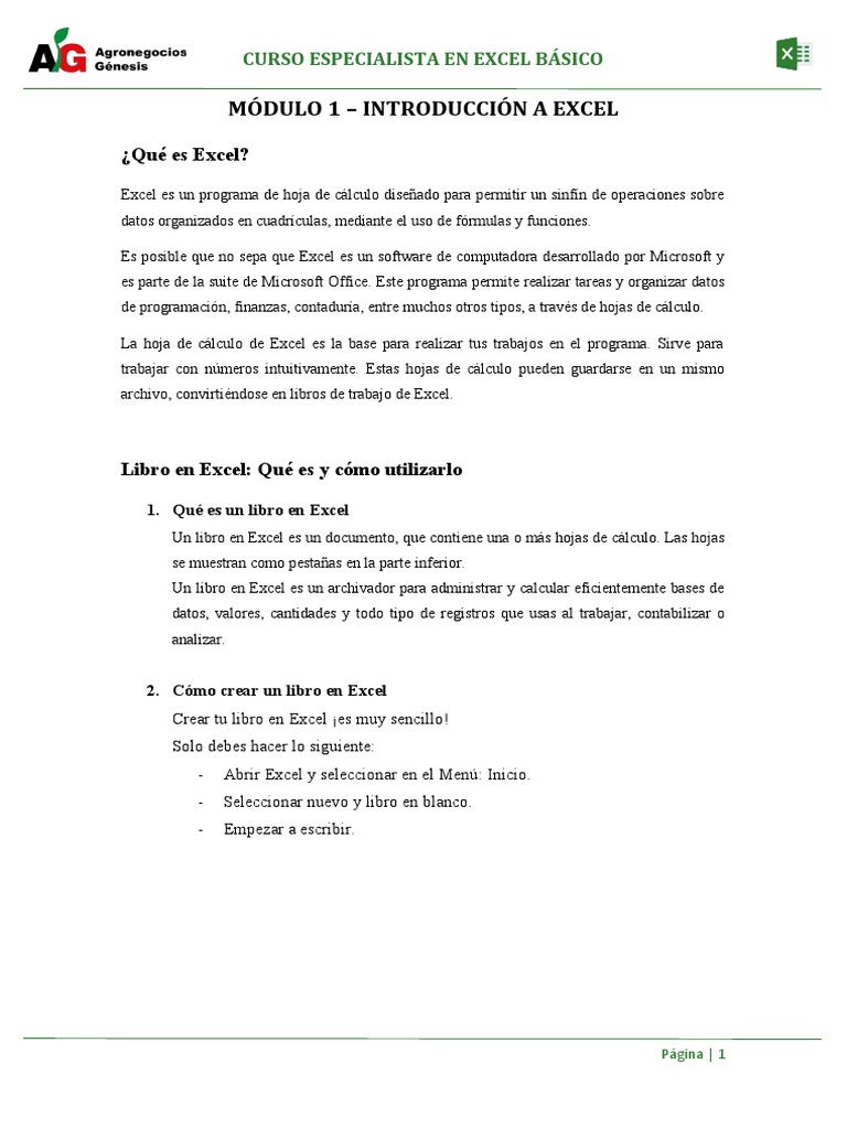 Modulo 1 - Introduccion A Excel | PDF | Microsoft Excel | Hoja de cálculo Modulo 1 - Introduccion A Excel | PDF | Microsoft Excel | Hoja de cálculo