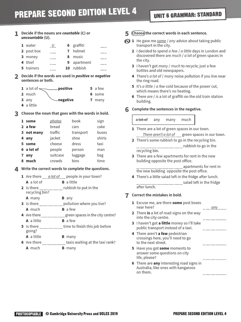PREPARE 4 Grammar Standard Unit 06 | PDF