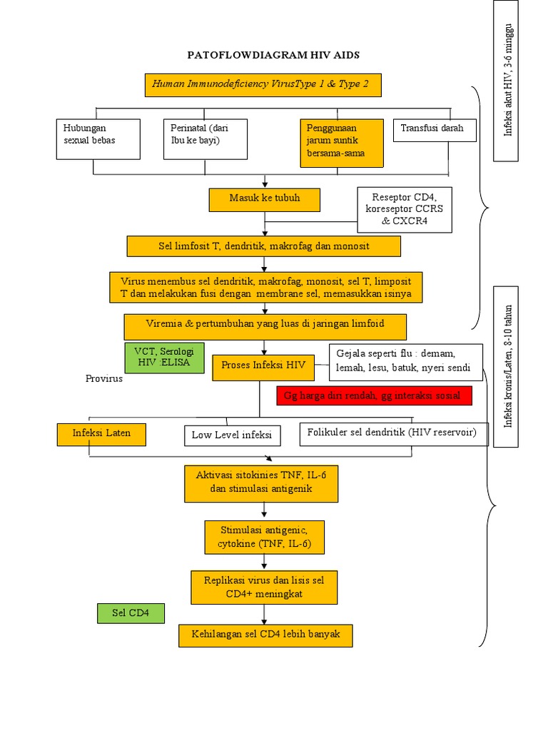 Patoflowdiagram Hiv Aids-1 | PDF