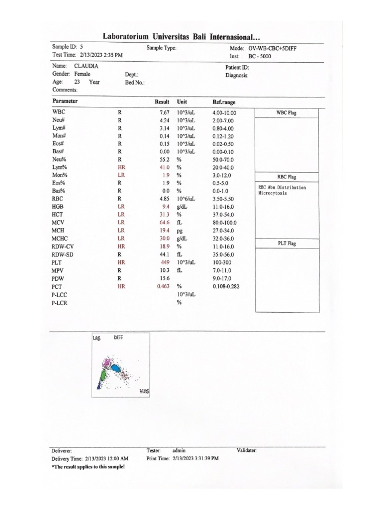 Contoh Hasil Pemeriksaan Darah Lengkap | PDF