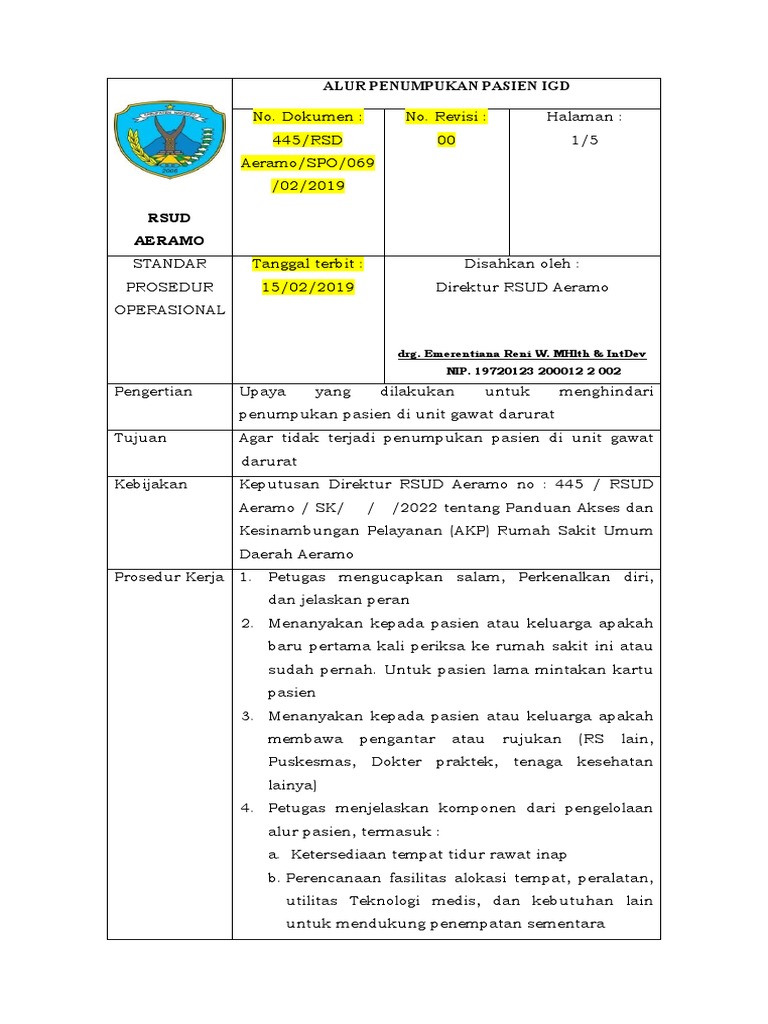 Spo Alur Penumpukan Pasien Igd | PDF