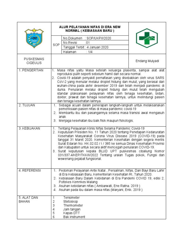 Sop Alur Pelayanan Nifas Di Era New Normal | PDF