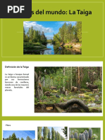 Ubicación y características de la taiga | PDF