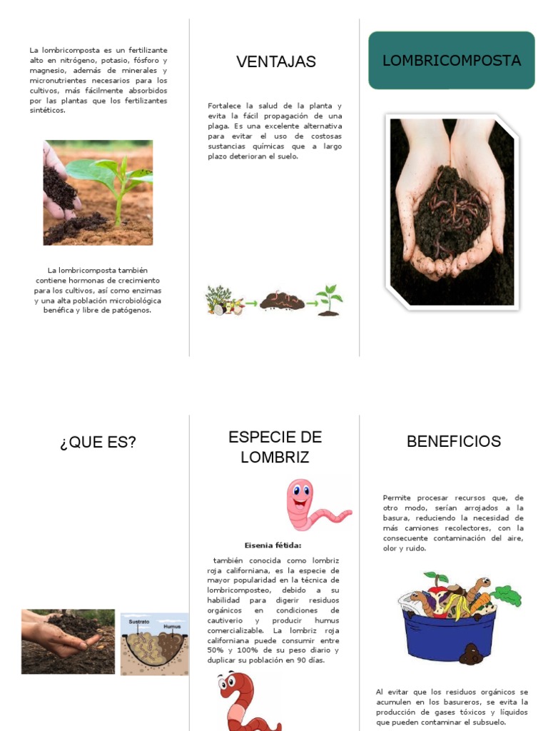 Ventajas: Lombricomposta | PDF | Fertilizante | Residuos