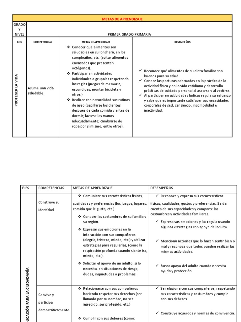 1ro Metas de Aprendizaje Primaria | PDF | Aprendizaje | Adultos