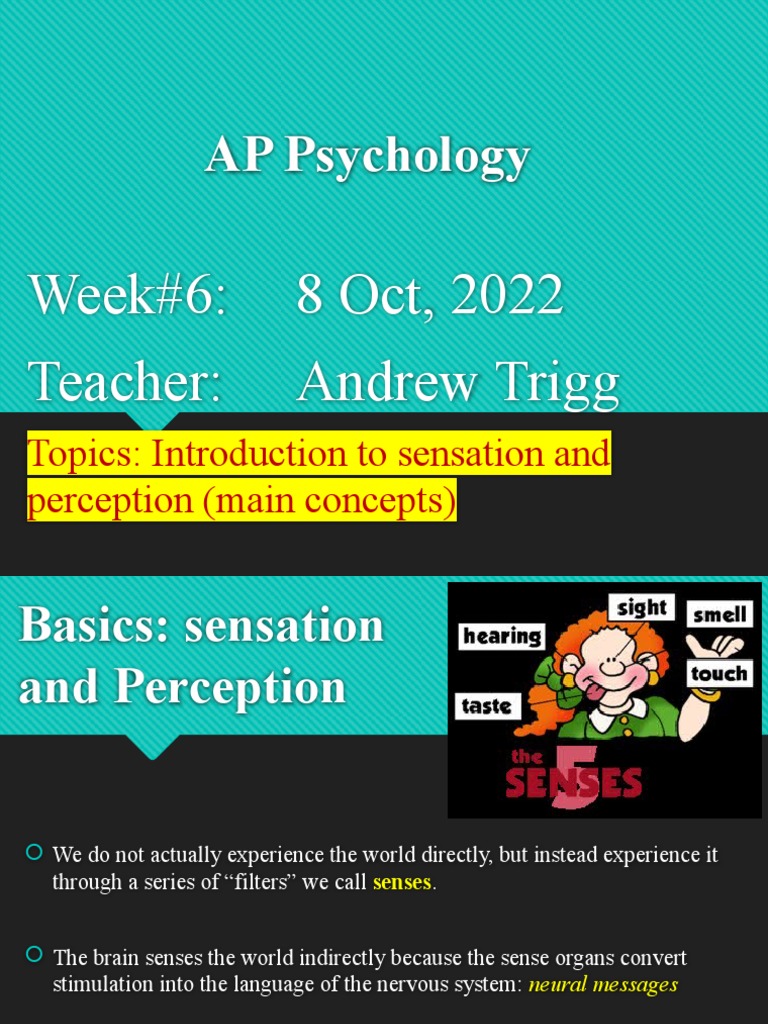 AP Psychology Module 16 Part 1 | PDF | Senses | Stimulus (Physiology)