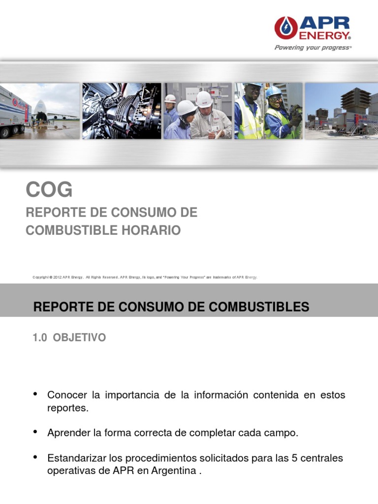 Reporte de Consumo de Combustible Horario | PDF