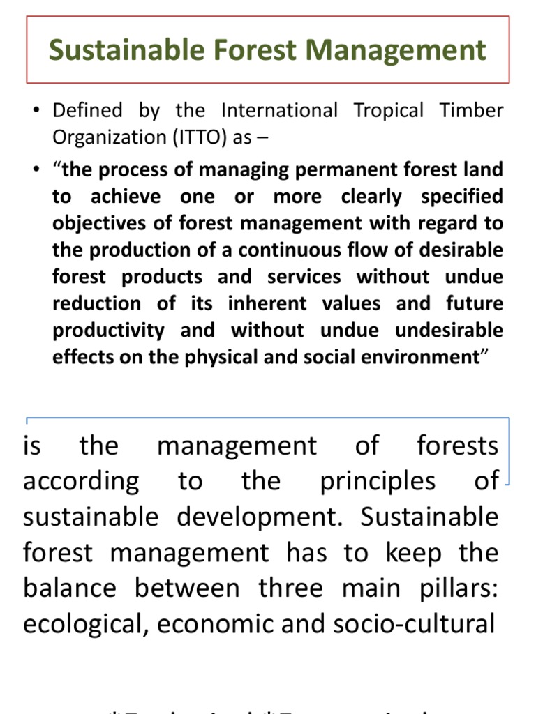 Sustainable Forest Management | PDF | Forestry | Sustainability