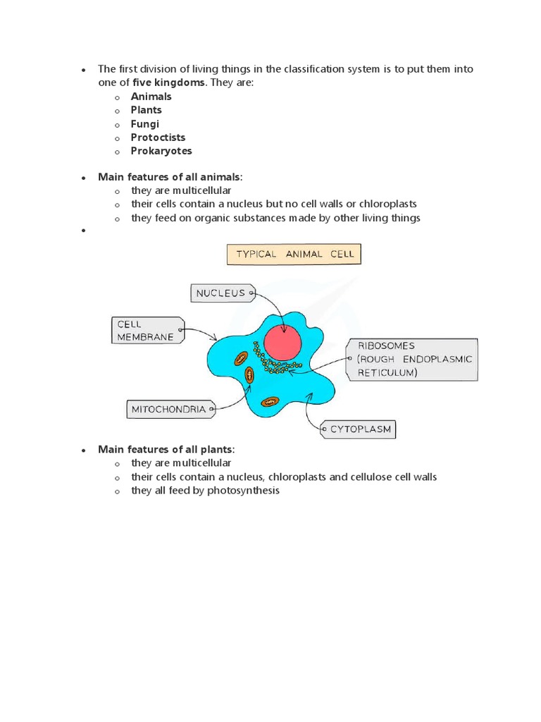 Classification Notes | PDF