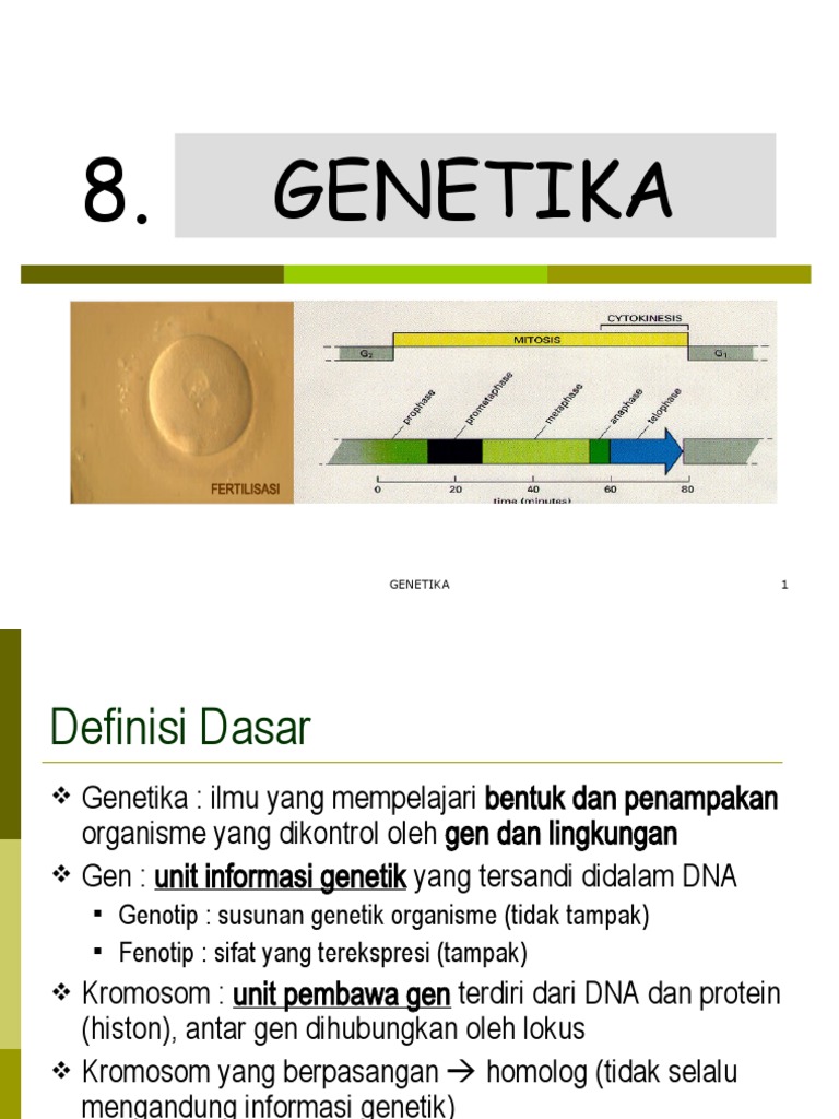 GENETIKA | PDF