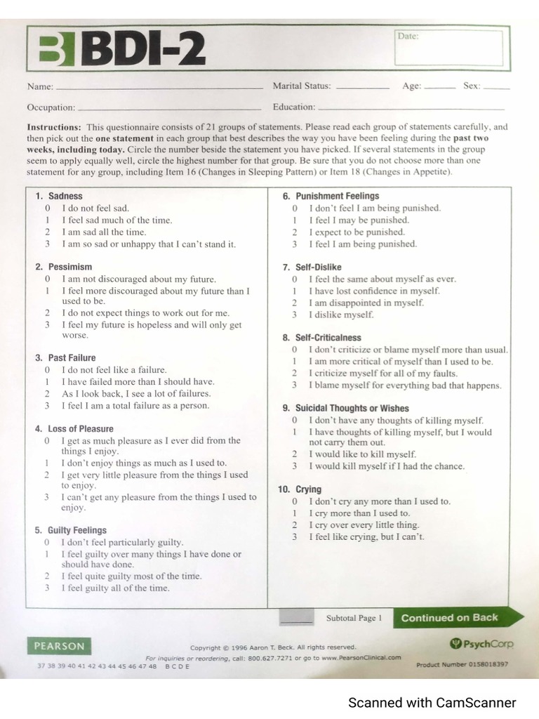 Depression Scale | PDF