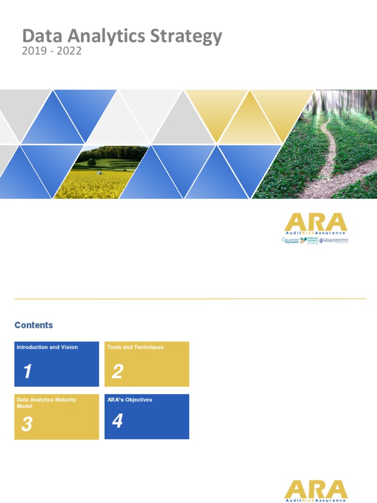 Leveraging Data Analytics: ARA's 2019-2022 Strategy to Enhance Audit ...